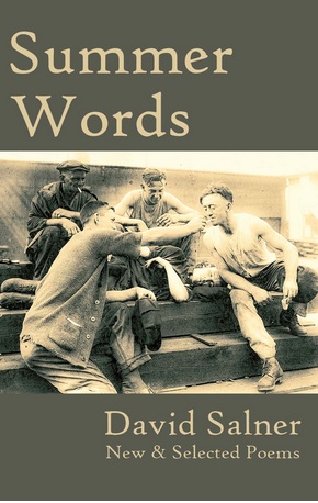 Brian Heston: Review of David Salner’s “Summer Words: New and Selected ...