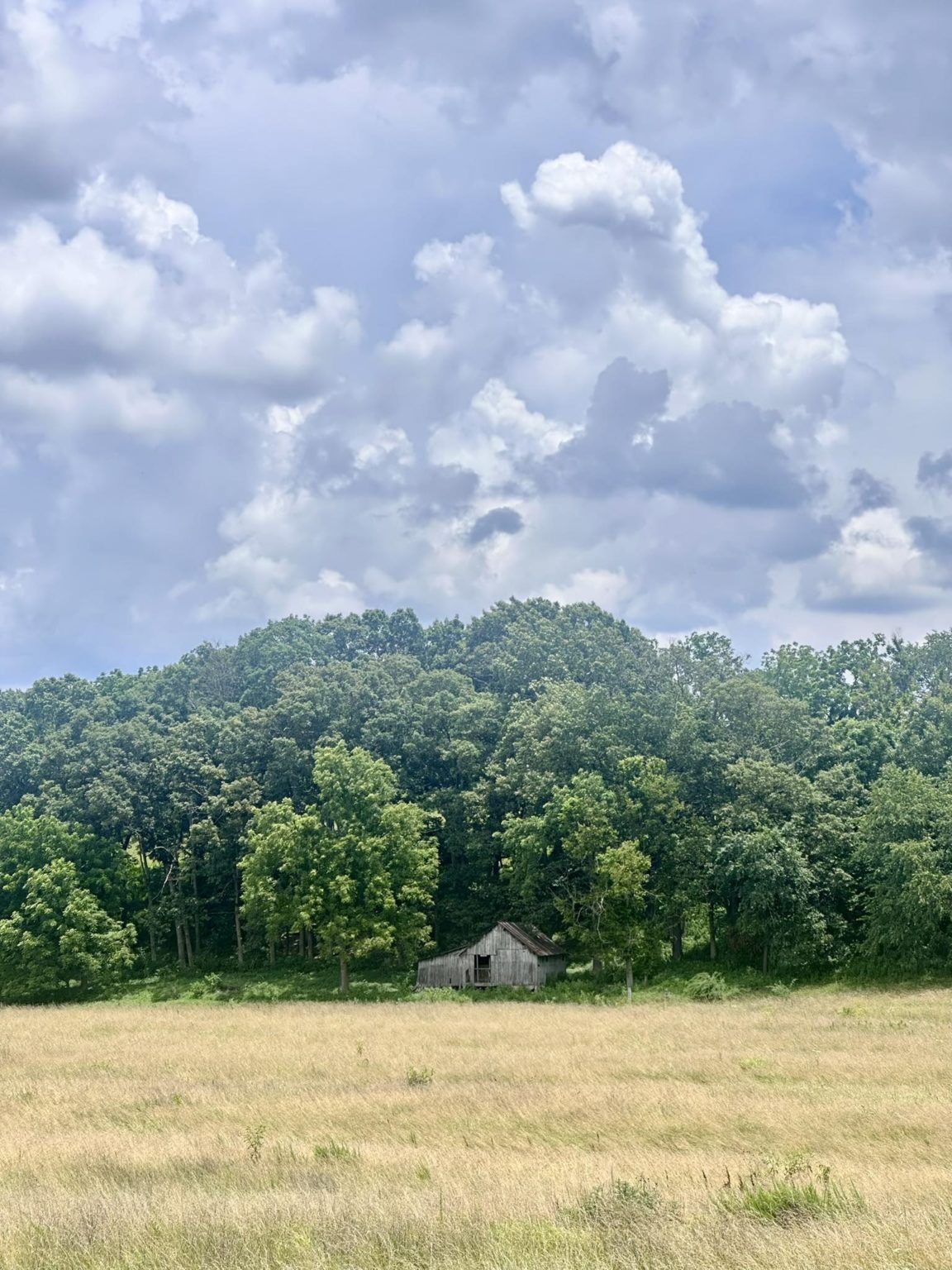 GHLL XXXVI (2025) – GHLL